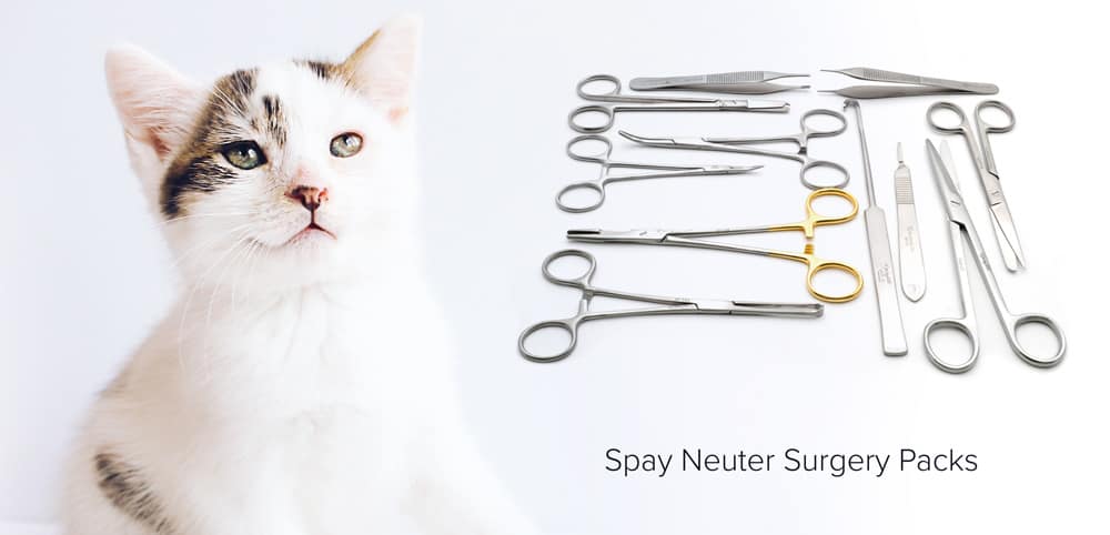 Top 7 of our best sterilization kits - Purchase Guide 2021 - Dispomed