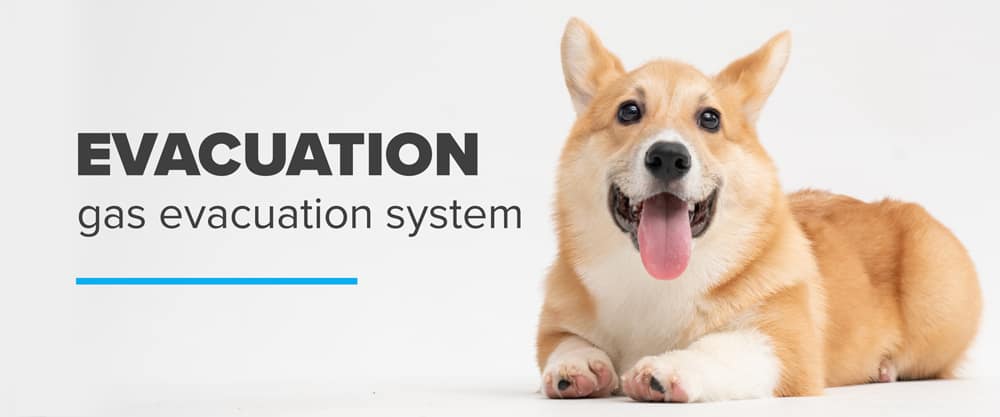 How to choose your evacuation system - Dispomed