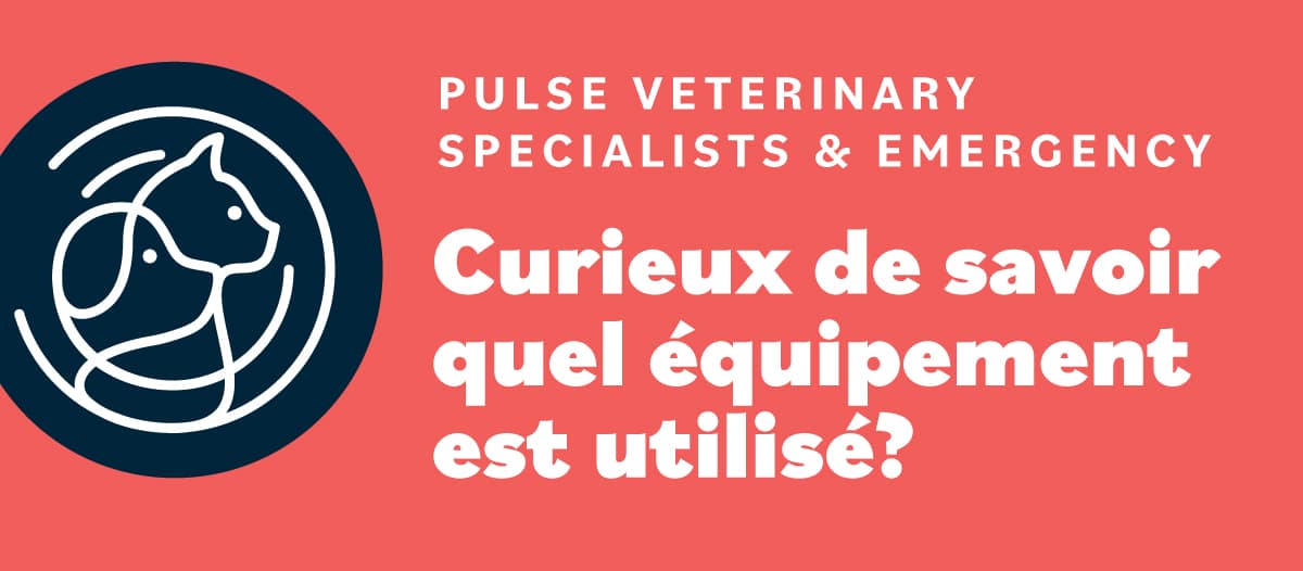 Curieux de savoir quel équipement Pulse Veterinary Specialists ...