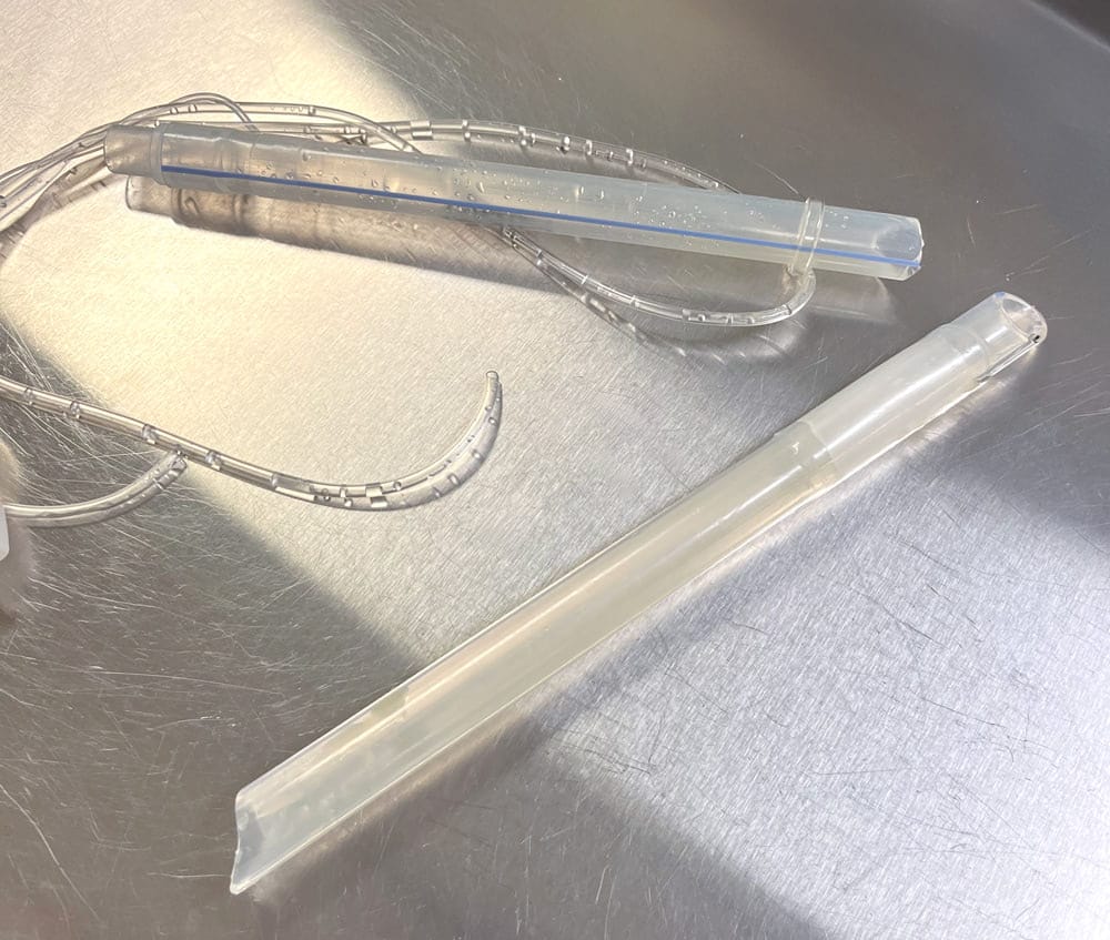 Canine And Feline Airway Management - Vetamac