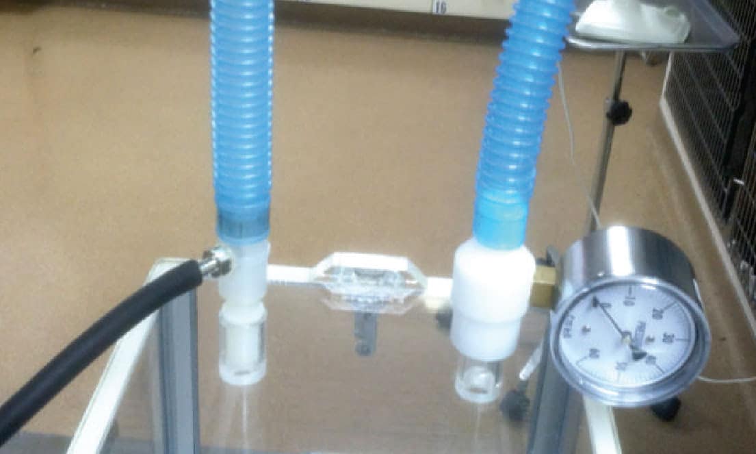 Veterinary Induction Boxes: A Complete Guide To Safe And Effective ...