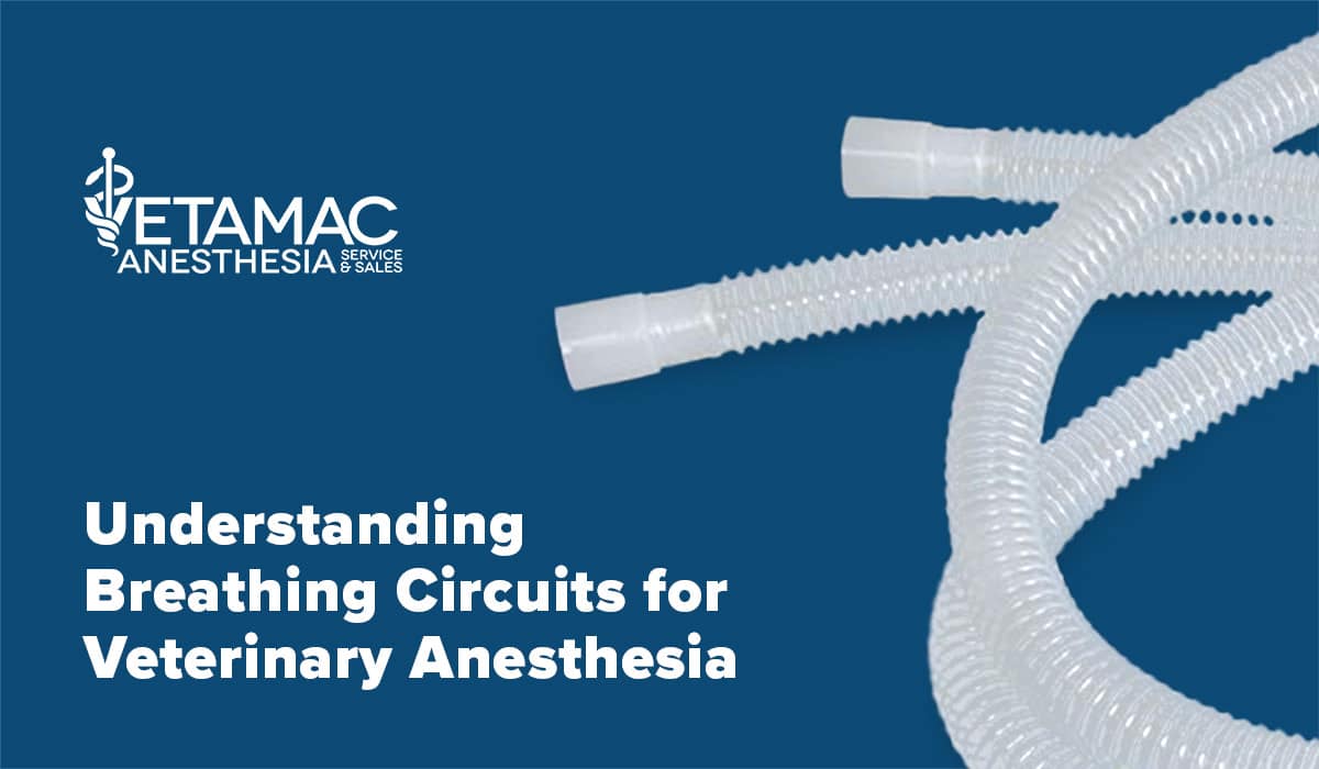 Vol. IX: Understanding Breathing Circuits For Veterinary Anesthesia ...
