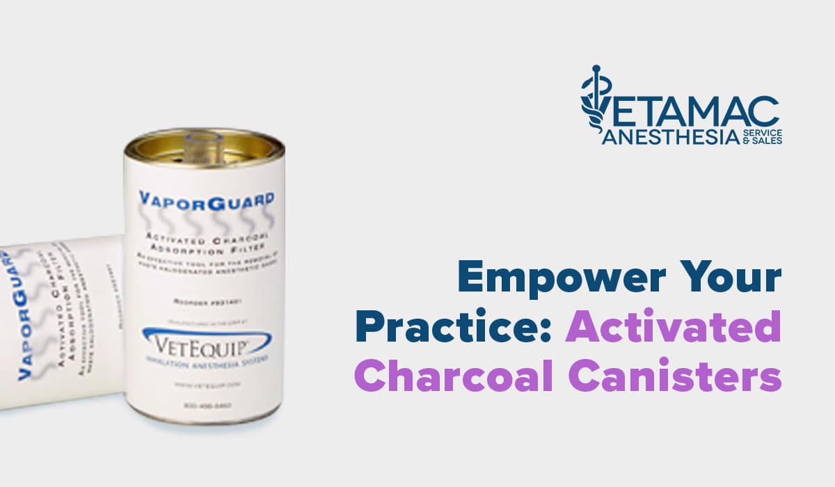 Empower Your Practice: Activated Charcoal Canisters - Vetamac