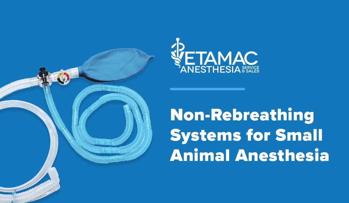Non-Rebreathing Systems For Small Animal Anesthesia - Vetamac