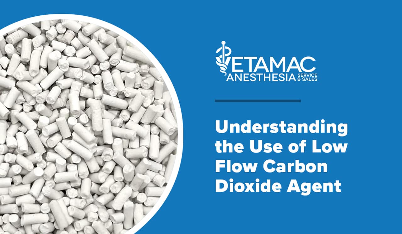 Vol. XIII: Understanding The Use Of Low Flow Carbon Dioxide Agent - Vetamac