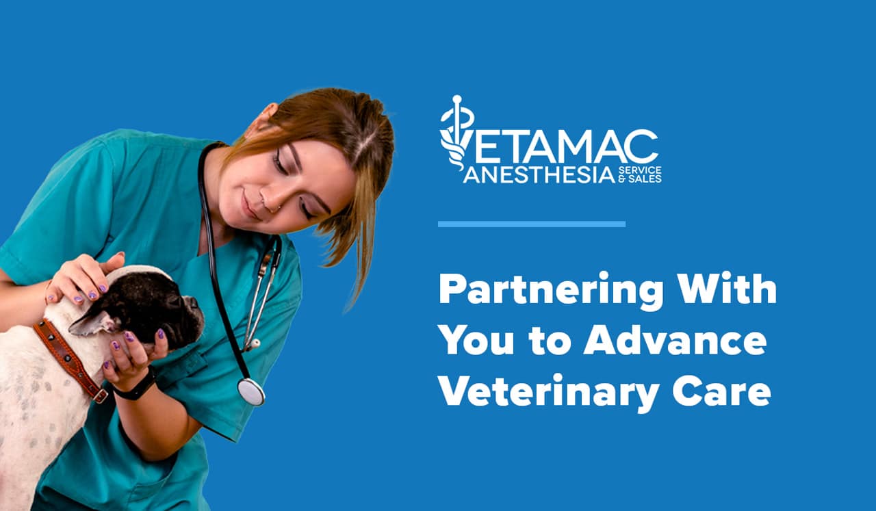 Partnering With You To Advance Veterinary Care - Vetamac
