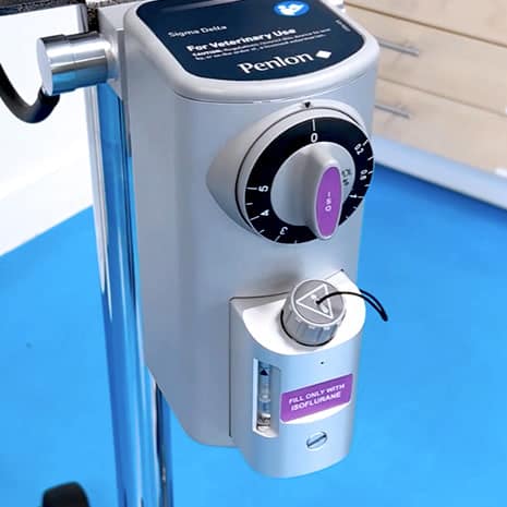 Guide To Installing, Filling, Draining, And Removing A Vaporizer - Vetamac