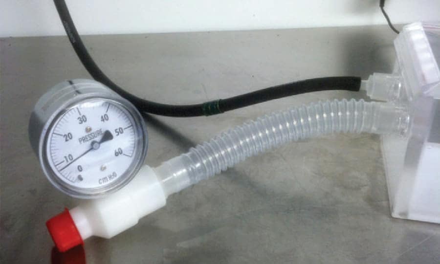 Veterinary Induction Boxes: A Complete Guide To Safe And Effective ...