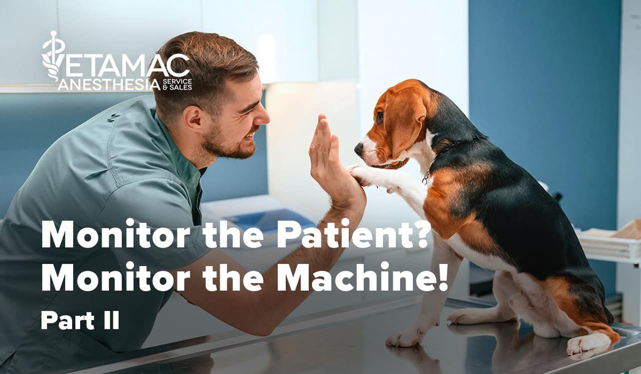 Vol. VI: Monitor The Patient? Monitor The Machine! - Part II - Vetamac