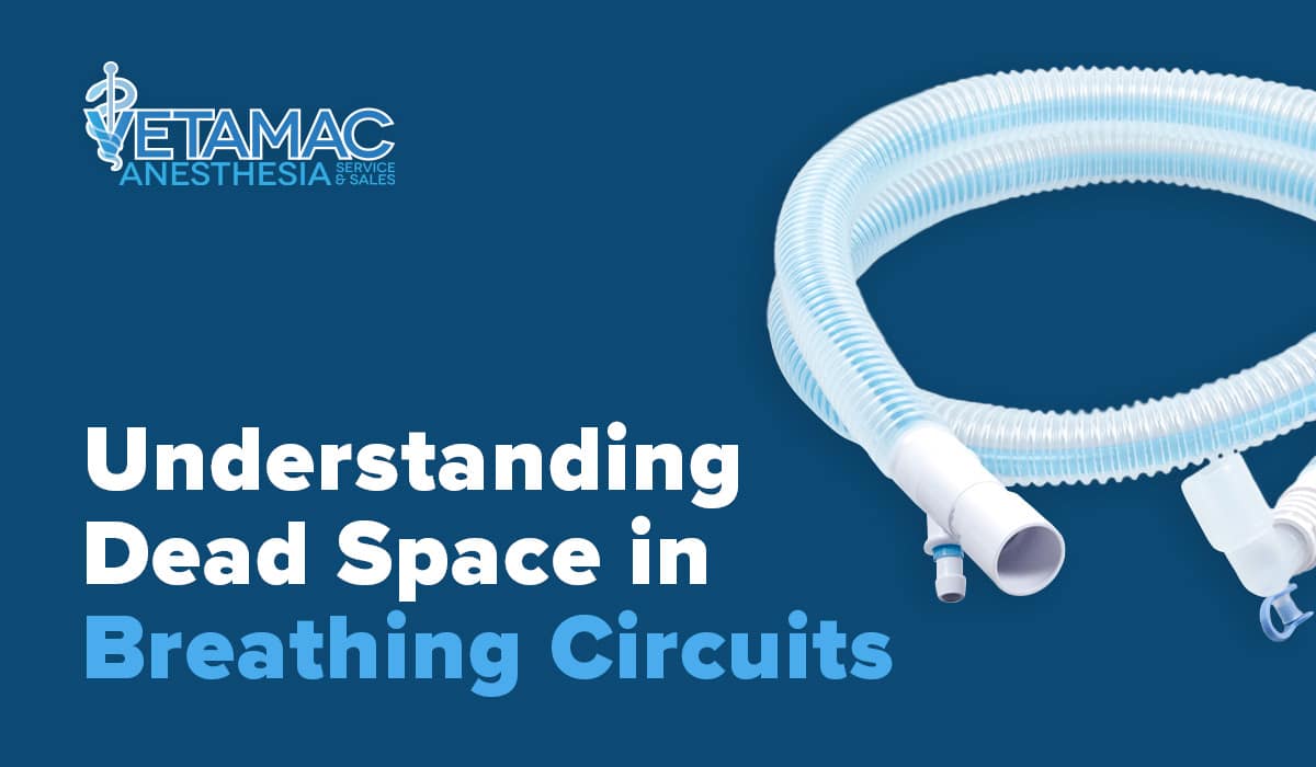 Understanding Dead Space In A Breathing Circuit - Vetamac