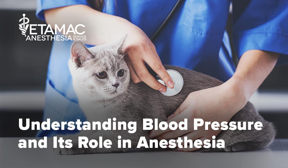 Vol. III: Understanding Blood Pressure And Its Role In Anesthesia - Vetamac
